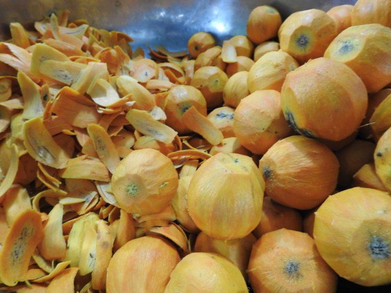 Açaí, tucumã e buriti são insumos da Amazônia mais pesquisados no ...