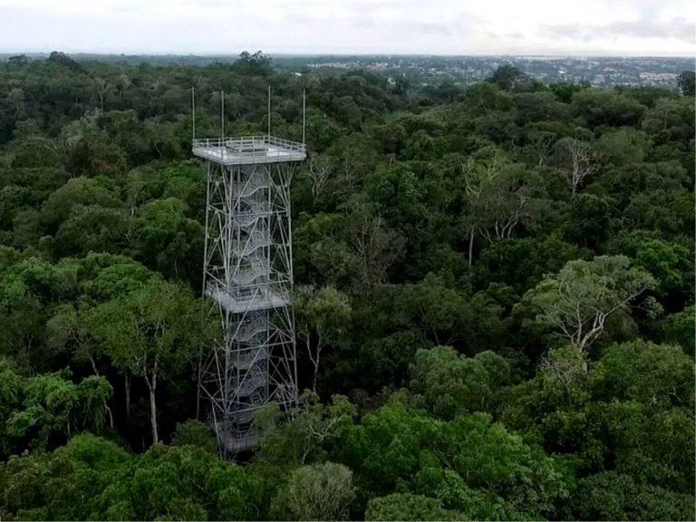 BNDES lança edital com Eneva para seleção de projetos de restauração ...