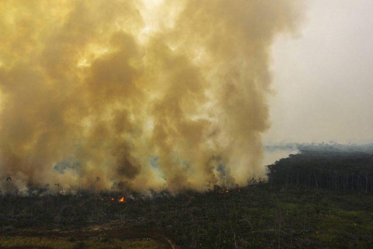 Emissões de carbono na Amazônia registram aumento em 2019 e 2020 ...