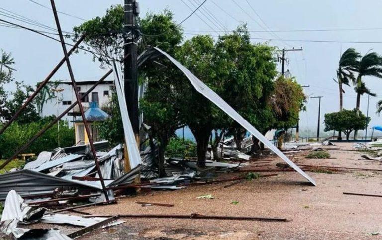 Tempestades estão ficando mais fortes e derrubando mais árvores na ...