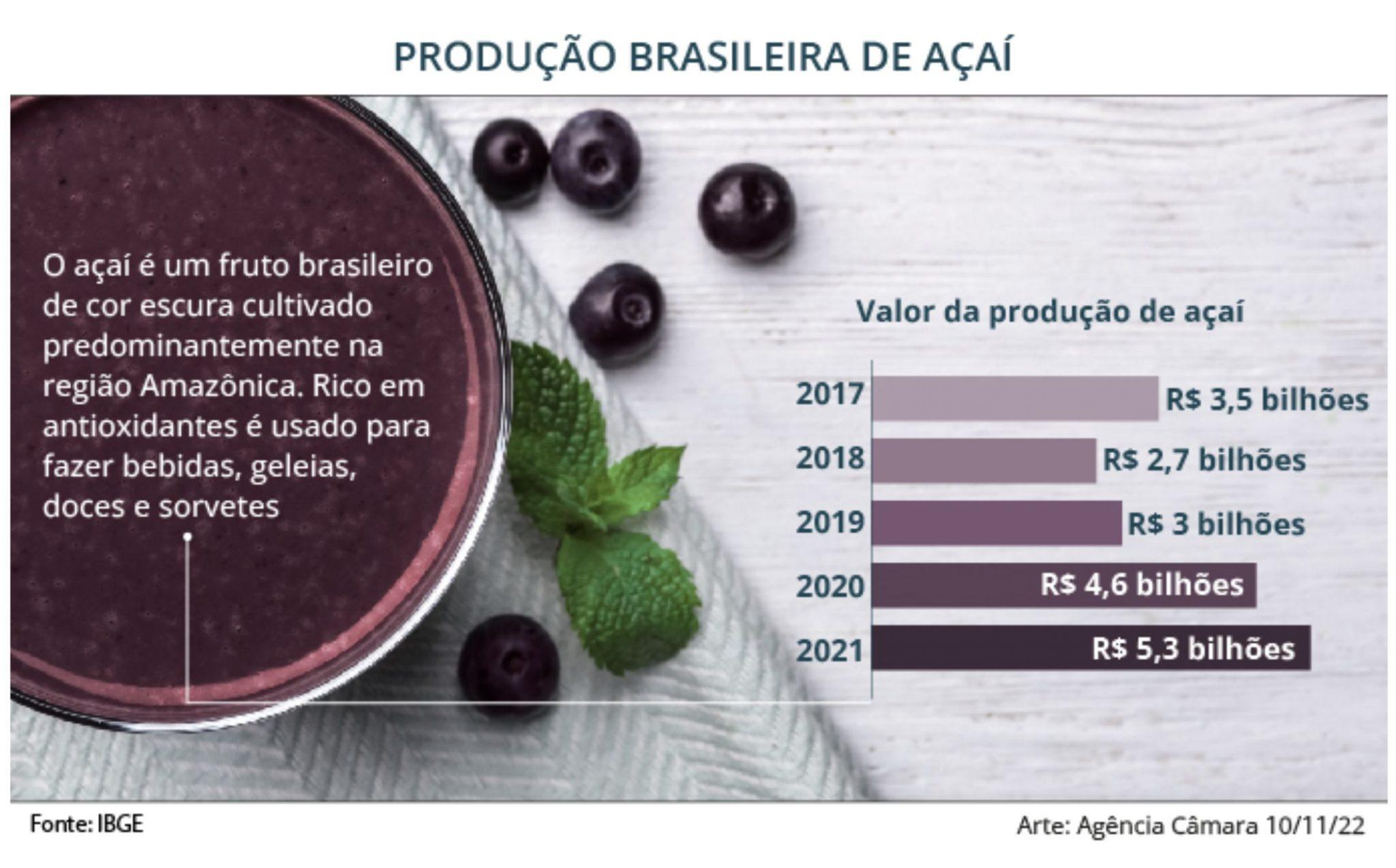 Projeto de lei cria programa de incentivo à produção e à exportação de açaí
